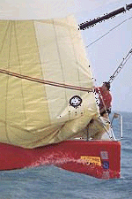 Tuff Luff - boats.com