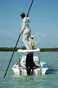 Bone Water: Bonefishing in the Bahamas Flats - boats.com